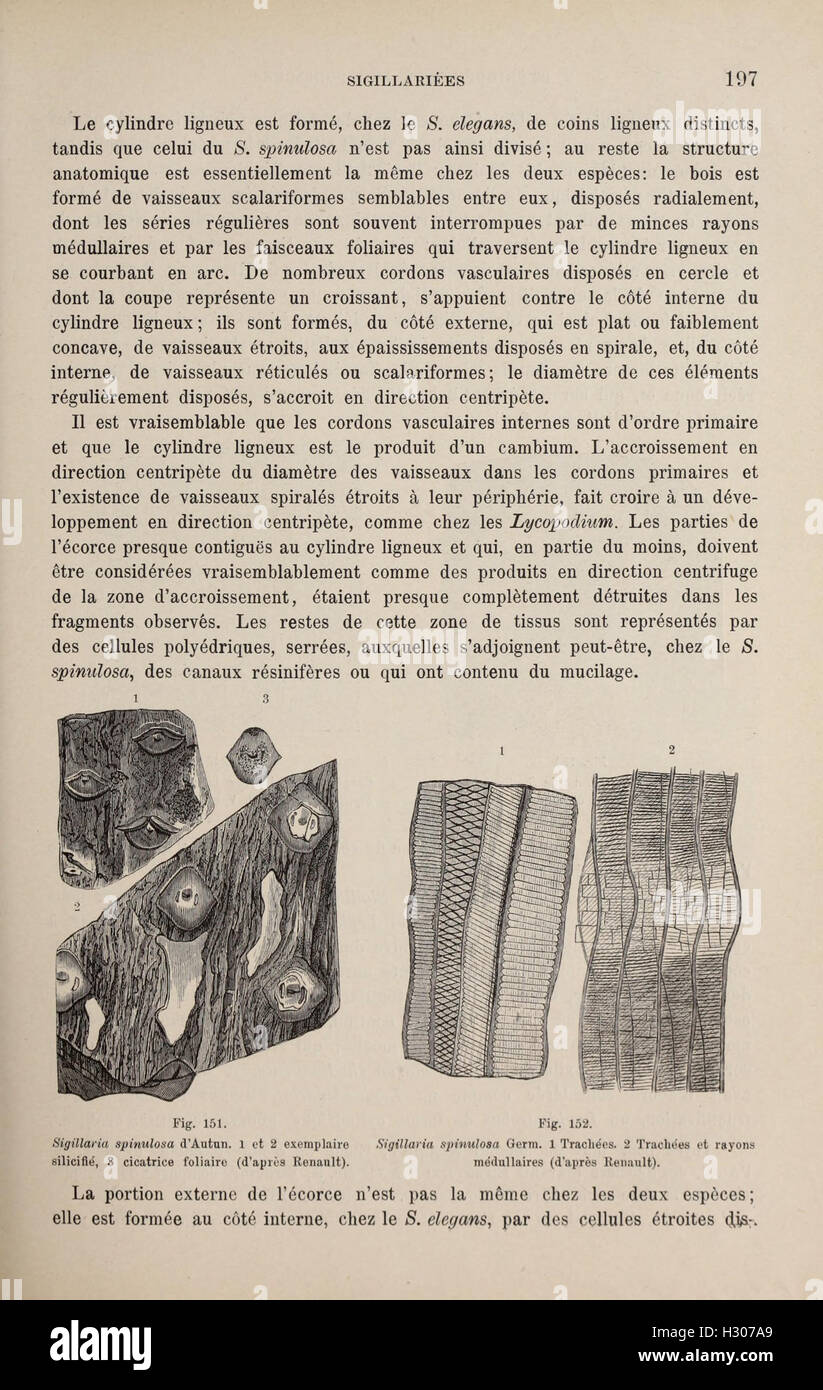 This comprehensive work on paleontology explores various aspects of ...