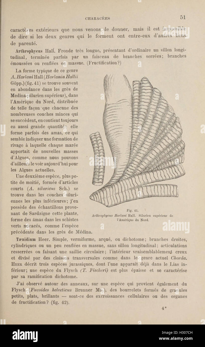 This paleontological work provides insights into the study of fossils ...