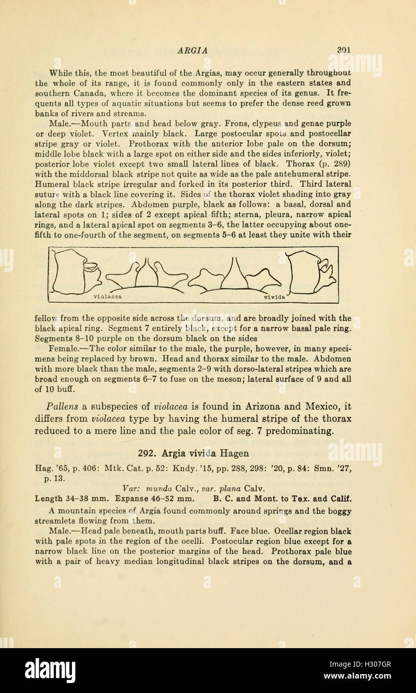 A comprehensive guide to North American dragonfly species, focusing on ...