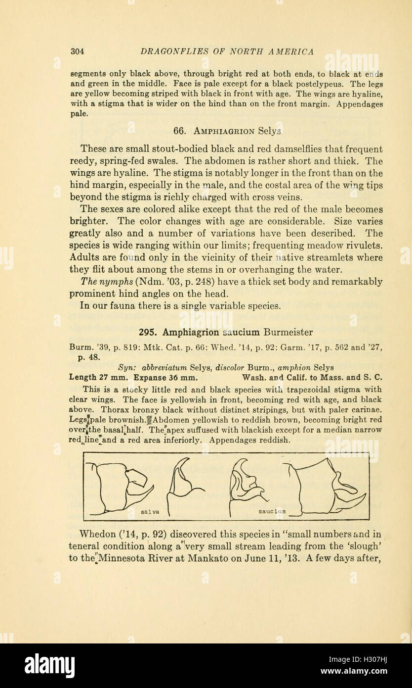 This page provides a detailed guide to the identification and ...