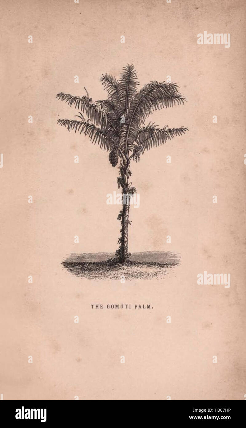 A travel account documenting the exploration of the East Indian ...