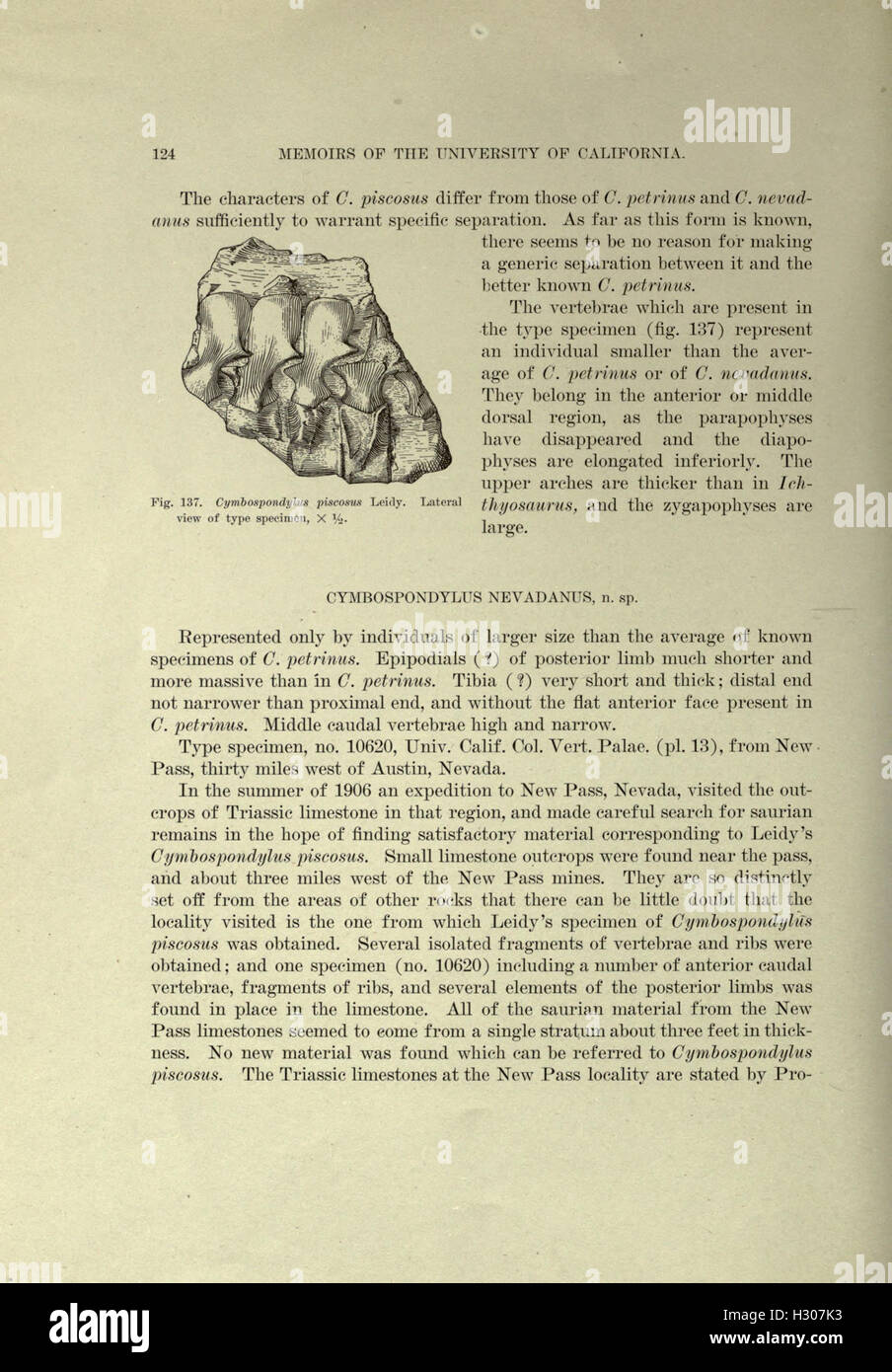 A paleontological study of Triassic-era Ichthyosaurs, an extinct group ...