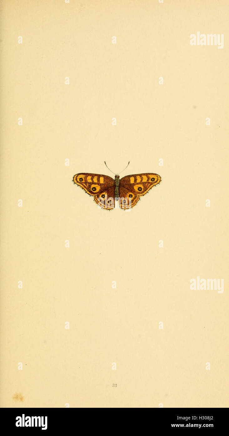 A historical account of butterfly species native to Britain ...