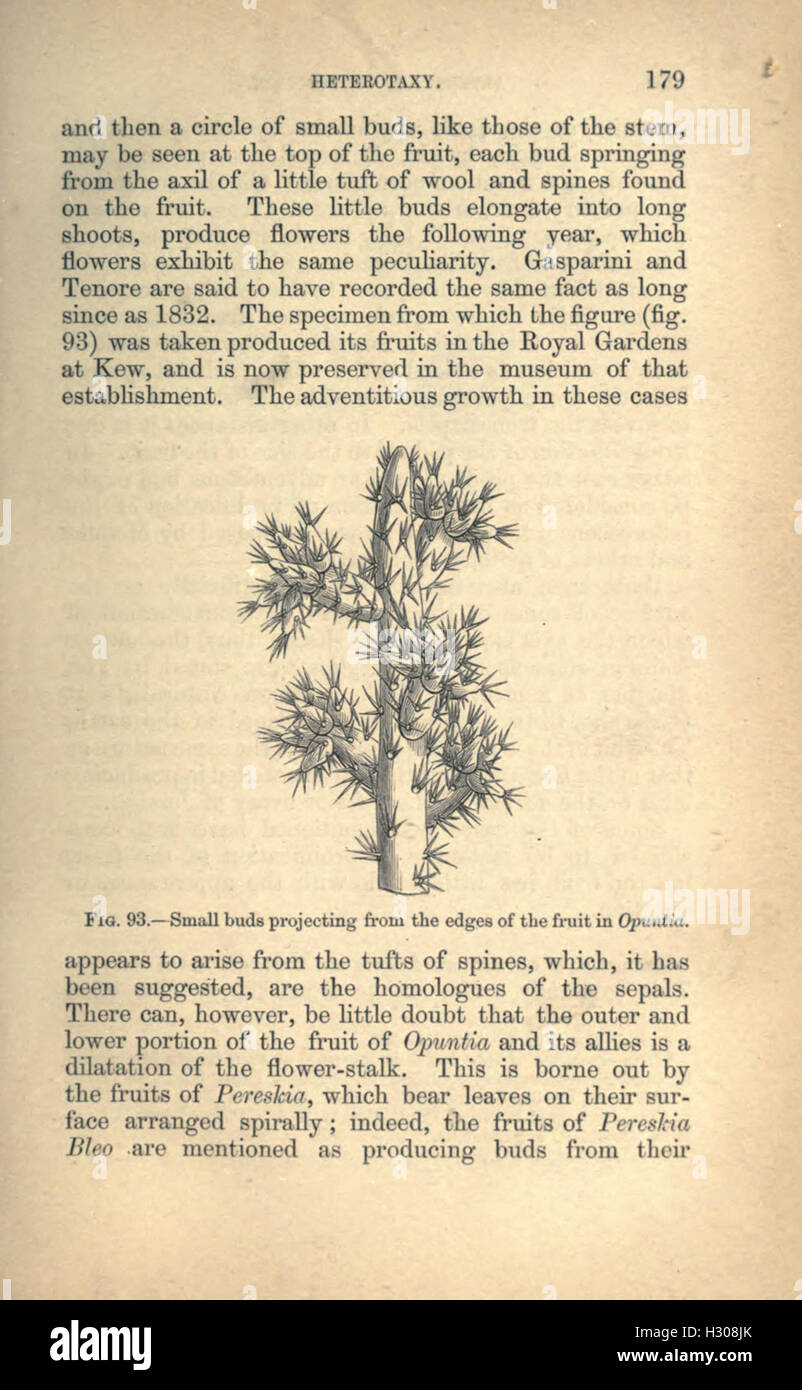 A study of plant deformities, focusing on unusual growth patterns and ...