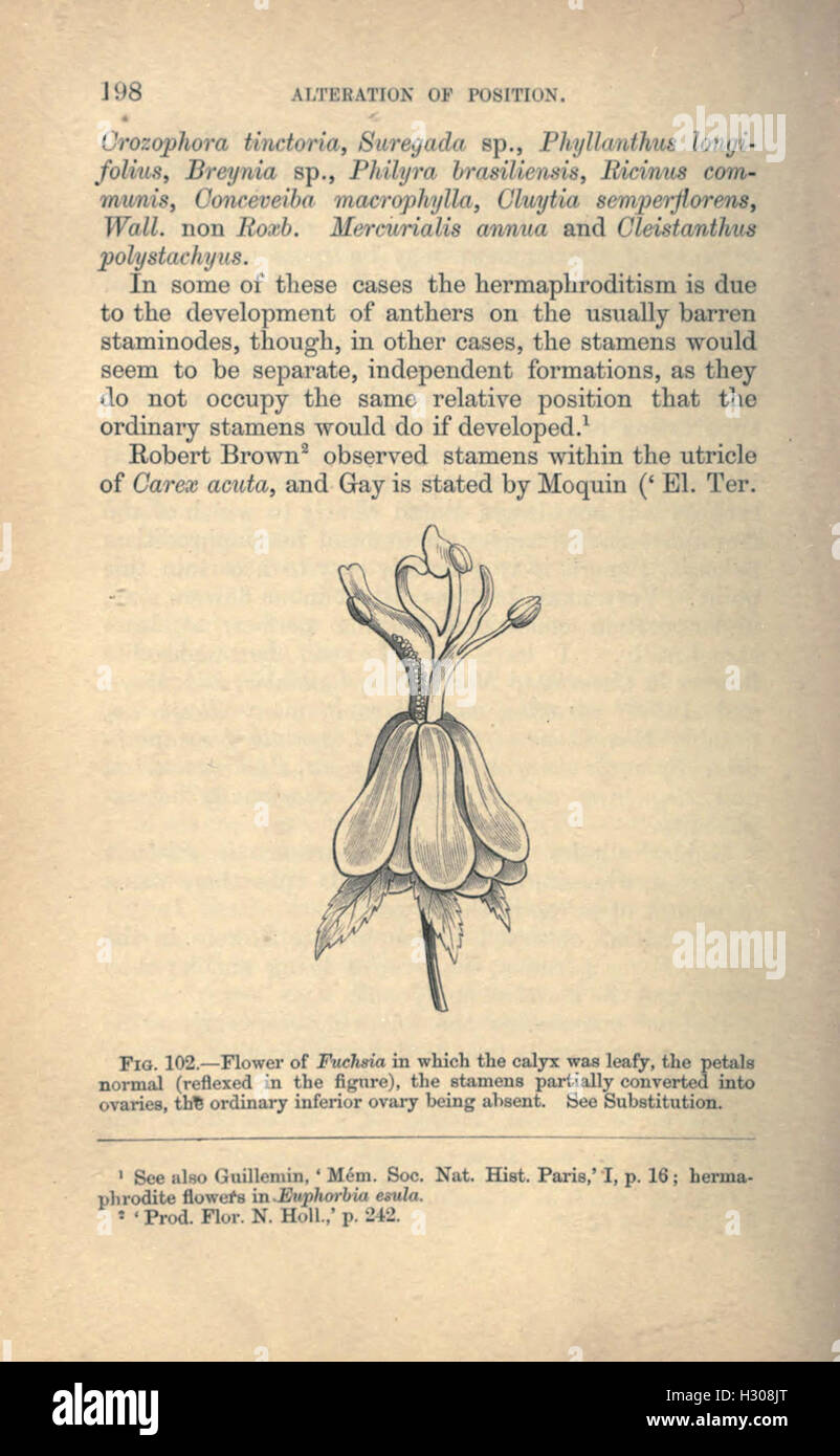 A study of abnormal growths and deformities in plants, exploring their ...