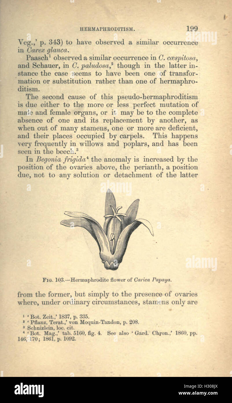 This page from 'Vegetable Teratology' studies plant deformities ...
