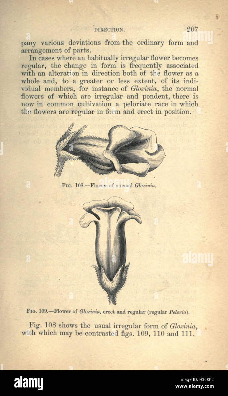 'Vegetable Teratology' studies plant abnormalities, focusing on ...