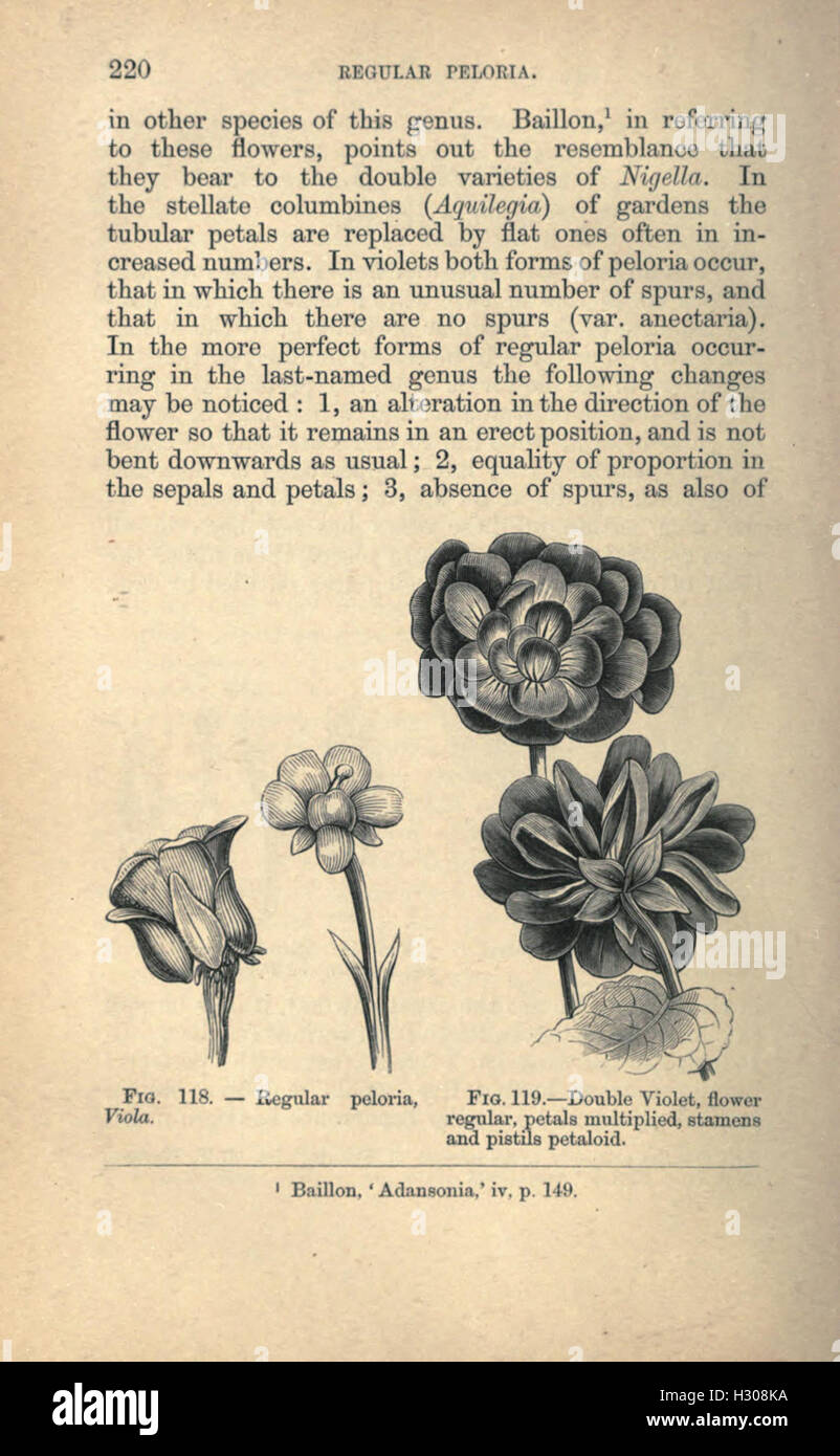 Vegetable Teratology studies the abnormal growths and deformities in ...