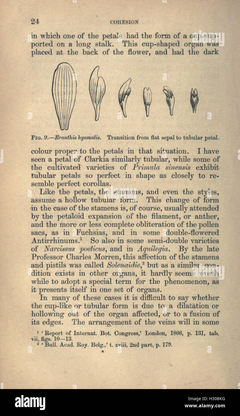 Vegetable teratology studies the abnormal growths and deformities in ...