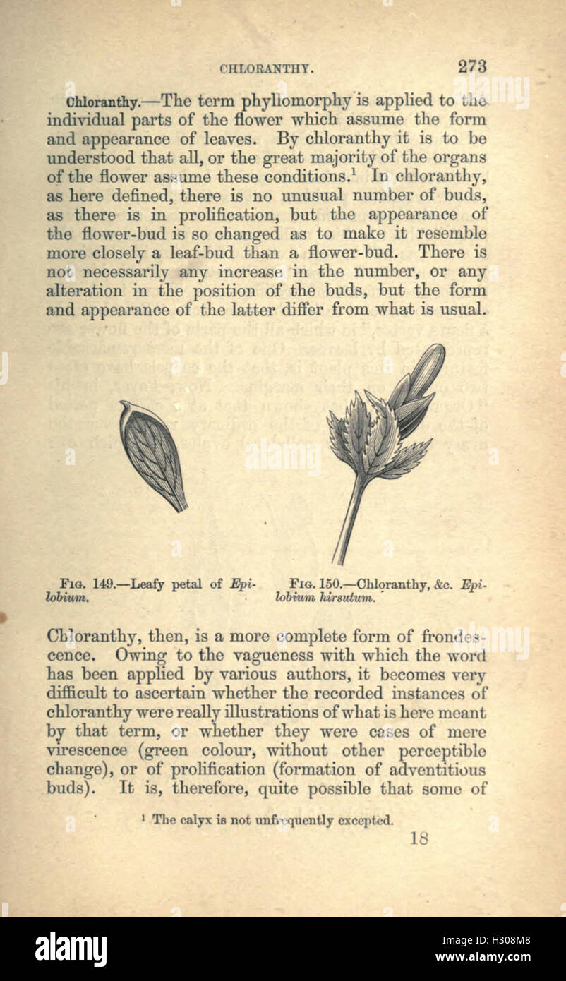 A study of abnormal plant growths and developmental anomalies, focusing ...