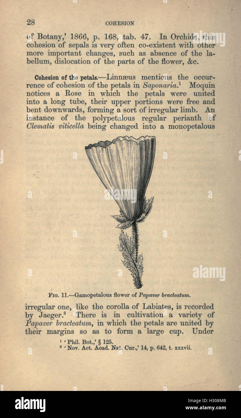 This study explores plant abnormalities and growth anomalies, examining ...