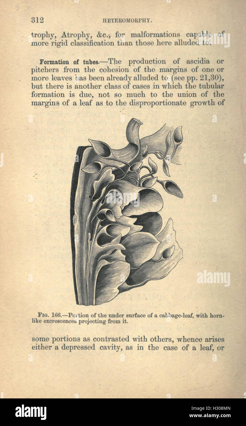 A study of plant anomalies and deformities, exploring the causes and ...