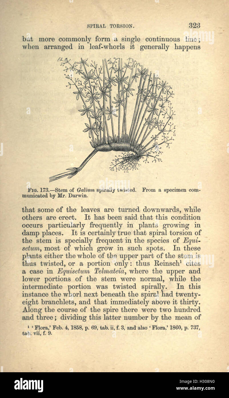 This page from 'Vegetable Teratology' examines plant anomalies and ...