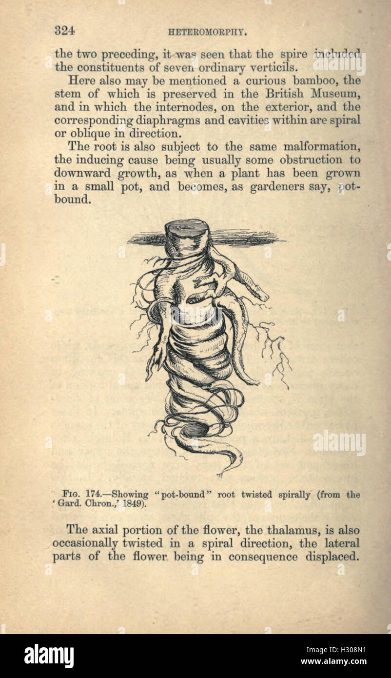 A study of plant anomalies, focusing on abnormal growth patterns and ...