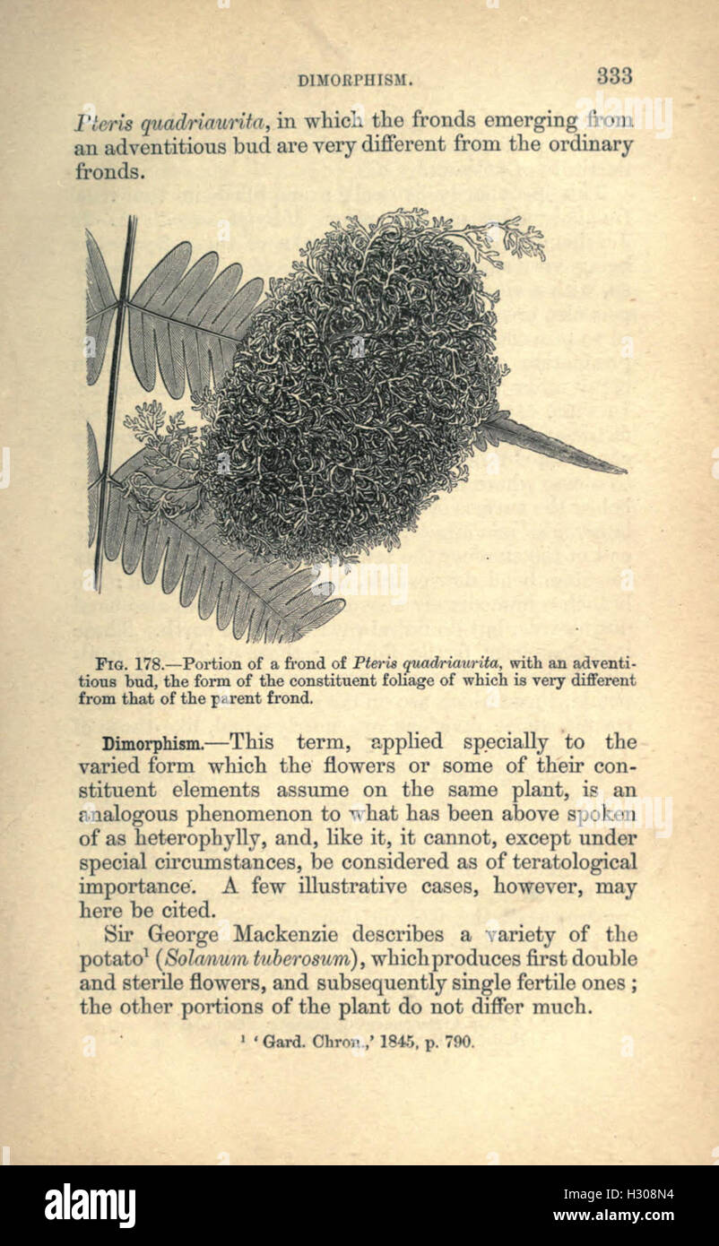 This text covers the study of abnormal plant growth, or teratology ...