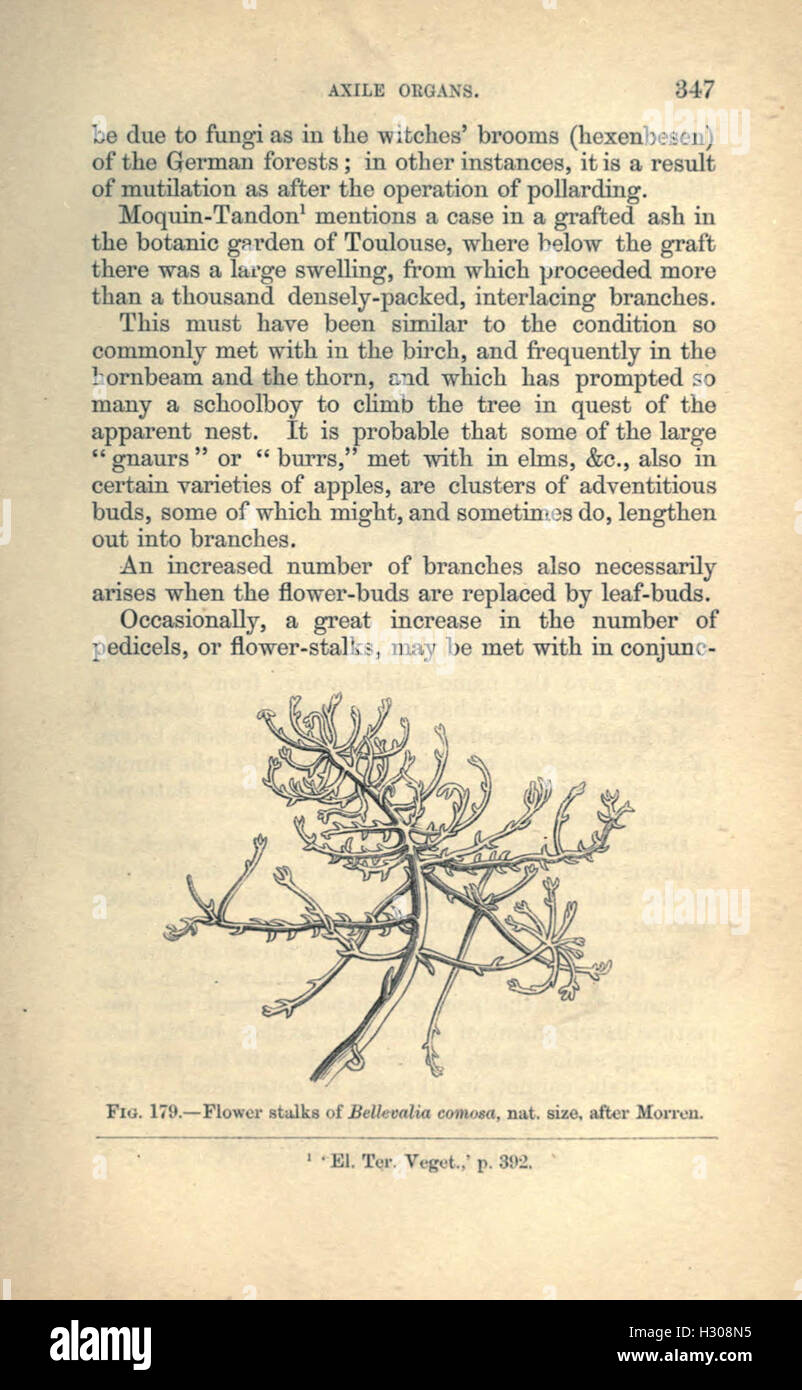 A scientific study of abnormal growths and deformities in plants ...