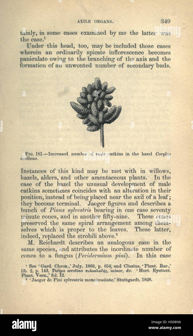 This work explores the study of abnormal plant growths and deformities ...