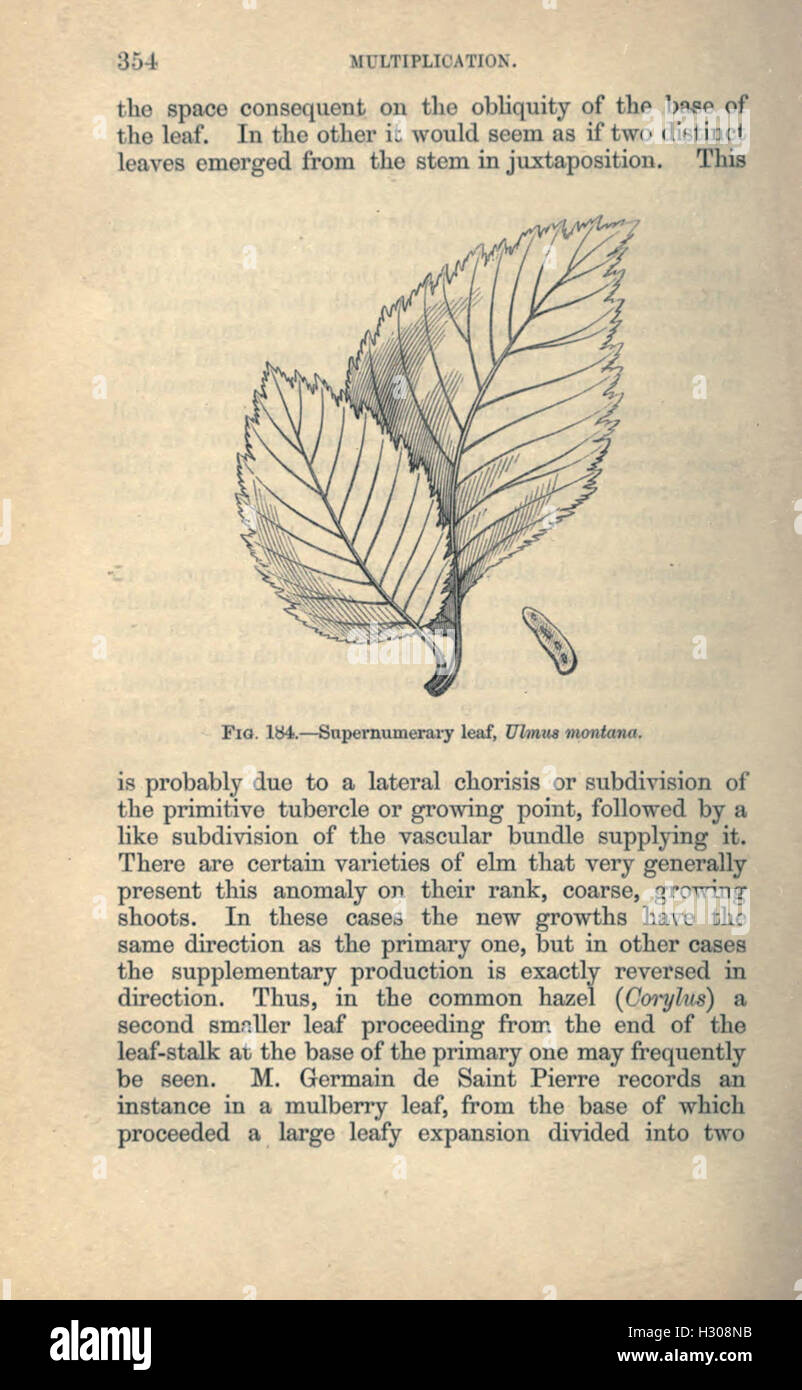 This work explores the study of plant abnormalities and growth ...