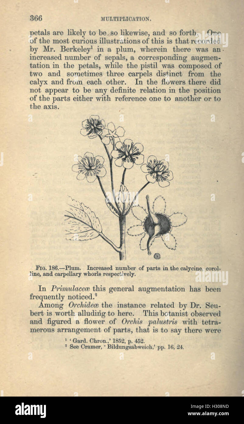 A study of plant abnormalities, including malformed structures and ...