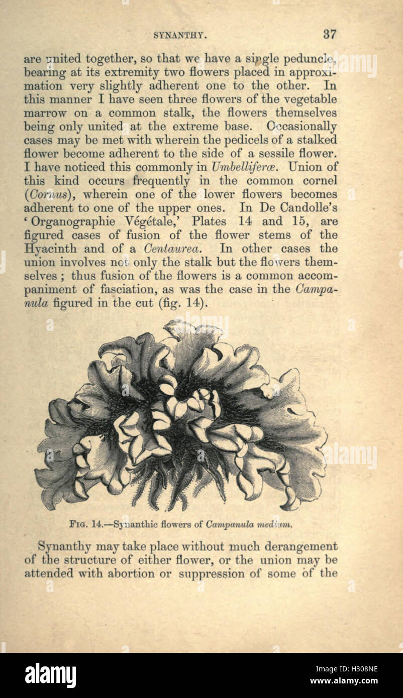 This work examines plant abnormalities (teratology), discussing their ...