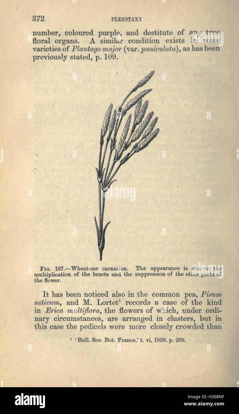 A study on vegetable teratology, focusing on plant abnormalities and ...