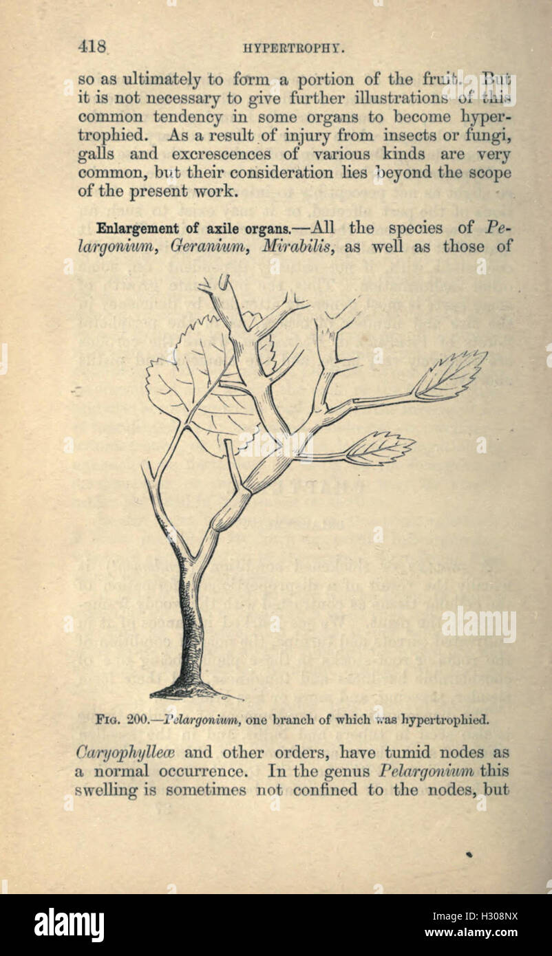 This work focuses on vegetable teratology, studying the abnormal growth ...