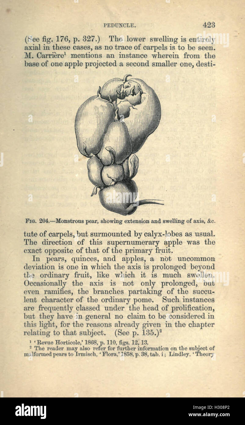 A study of abnormal plant growths and deformities, focusing on the ...