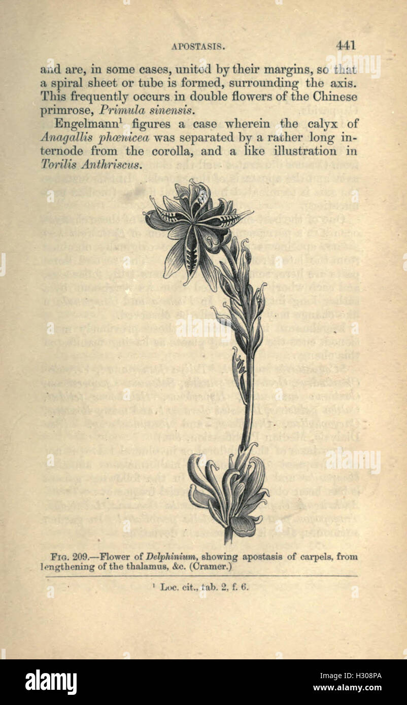 A study on the abnormal growths and mutations in plants, examining the ...