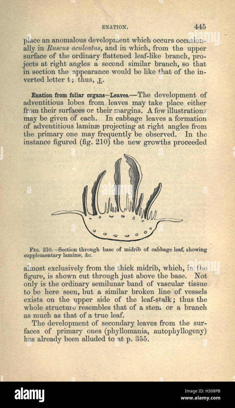 A study of abnormal plant growths, focusing on teratology, which ...