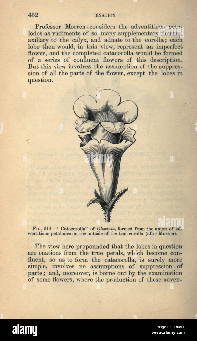 'Vegetable Teratology' examines abnormal plant growths, or teratologies ...
