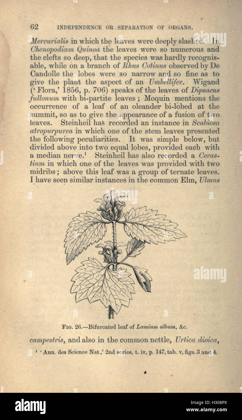 A study of plant abnormalities, focusing on the developmental ...