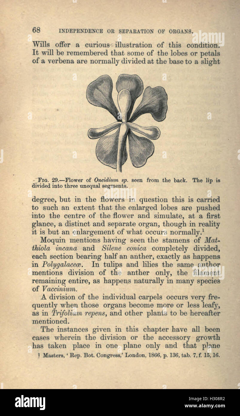 This work discusses the study of abnormal plant growths and deformities ...