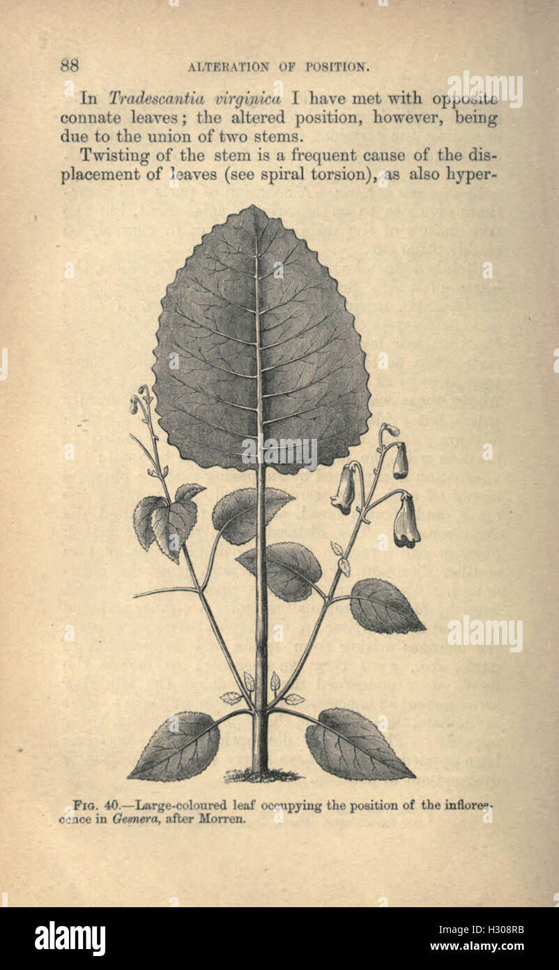 This work explores the study of abnormal plant growths, known as ...
