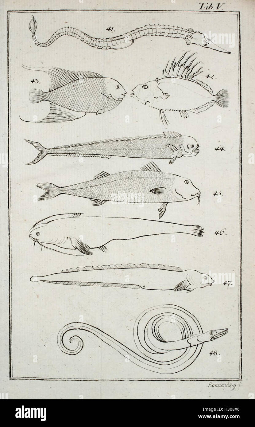 A guide to the knowledge and history of animals and minerals, featuring ...