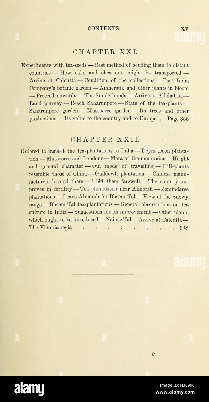 Bohea tea hi-res stock photography and images - Alamy