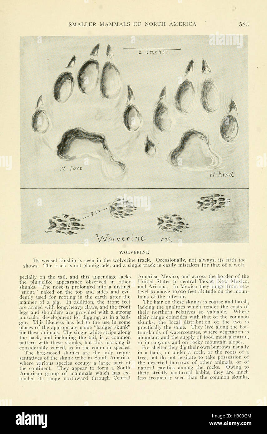 A comprehensive study of wild mammals in North America, focusing on ...