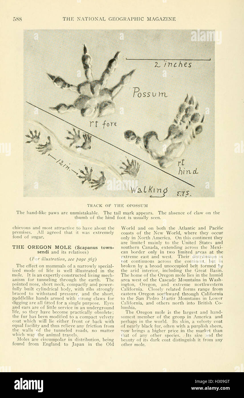 This book provides an in-depth look at North American mammals, from ...