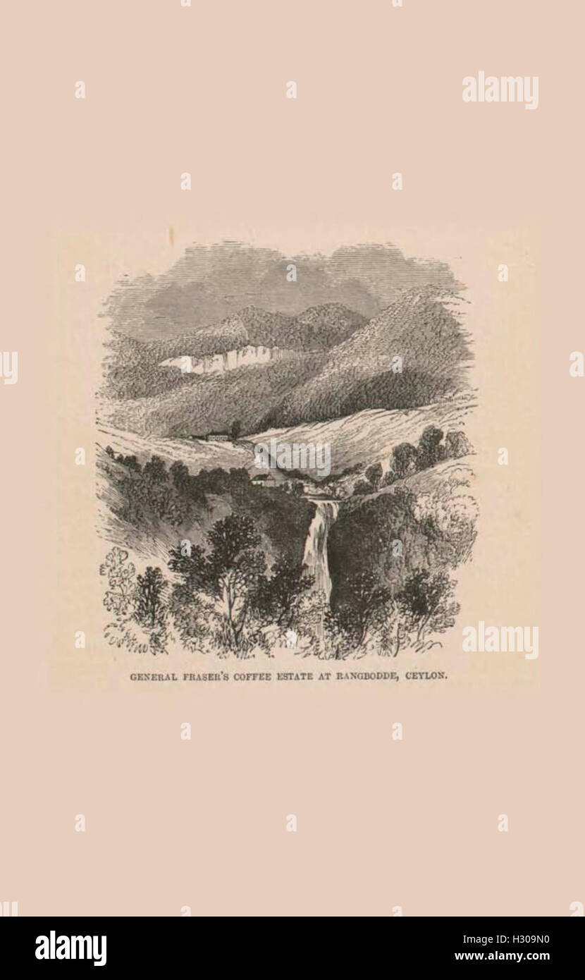 This work explores the diverse and unique ecosystems of tropical ...