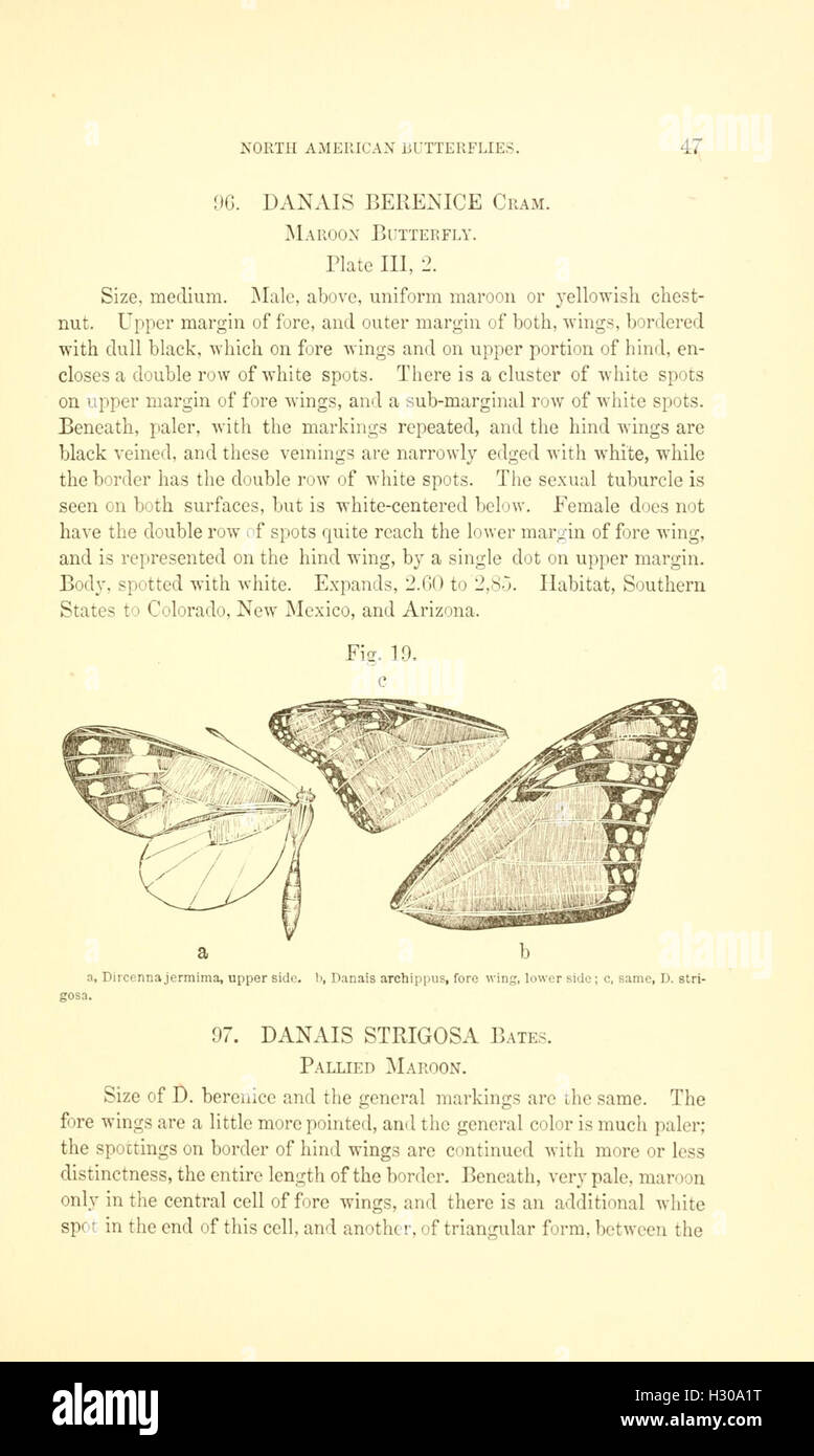 Page 47 of 'A Manual of North American Butterflies' includes detailed ...