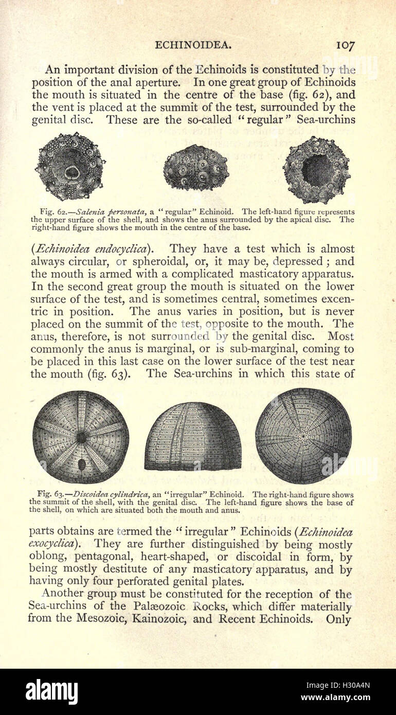 This manual provides students with foundational knowledge in ...