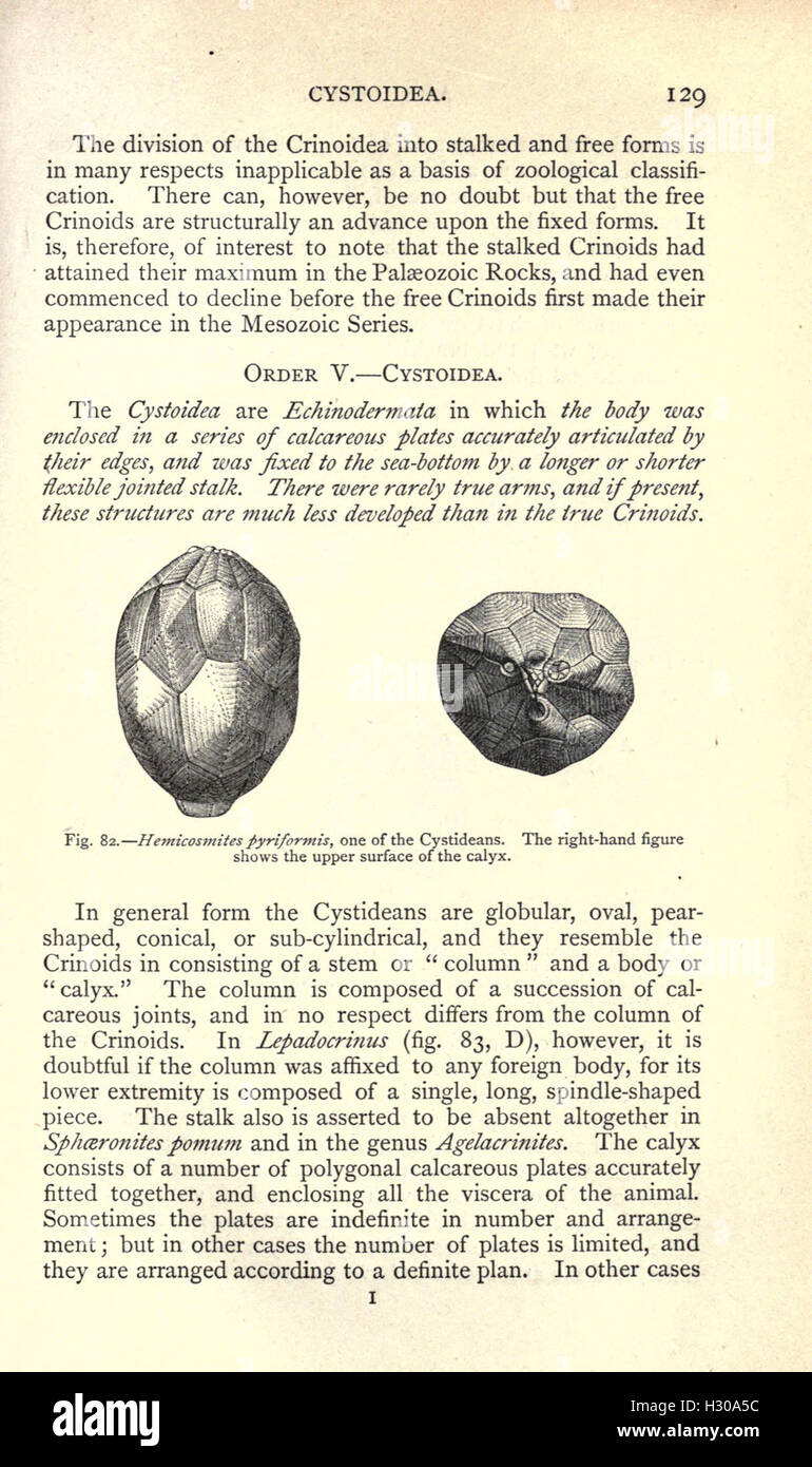 A manual providing an introduction to paleontology, focusing on fossil ...