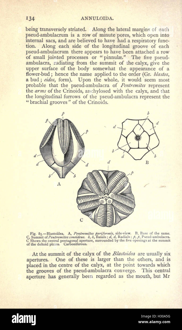 This manual offers students an introduction to paleontology, covering ...