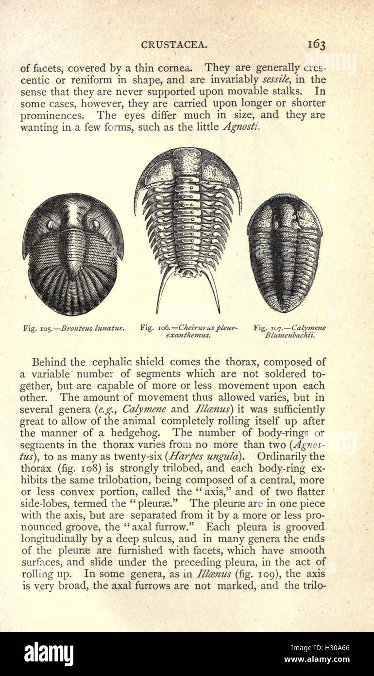 This manual serves as an educational guide to the study of paleontology ...