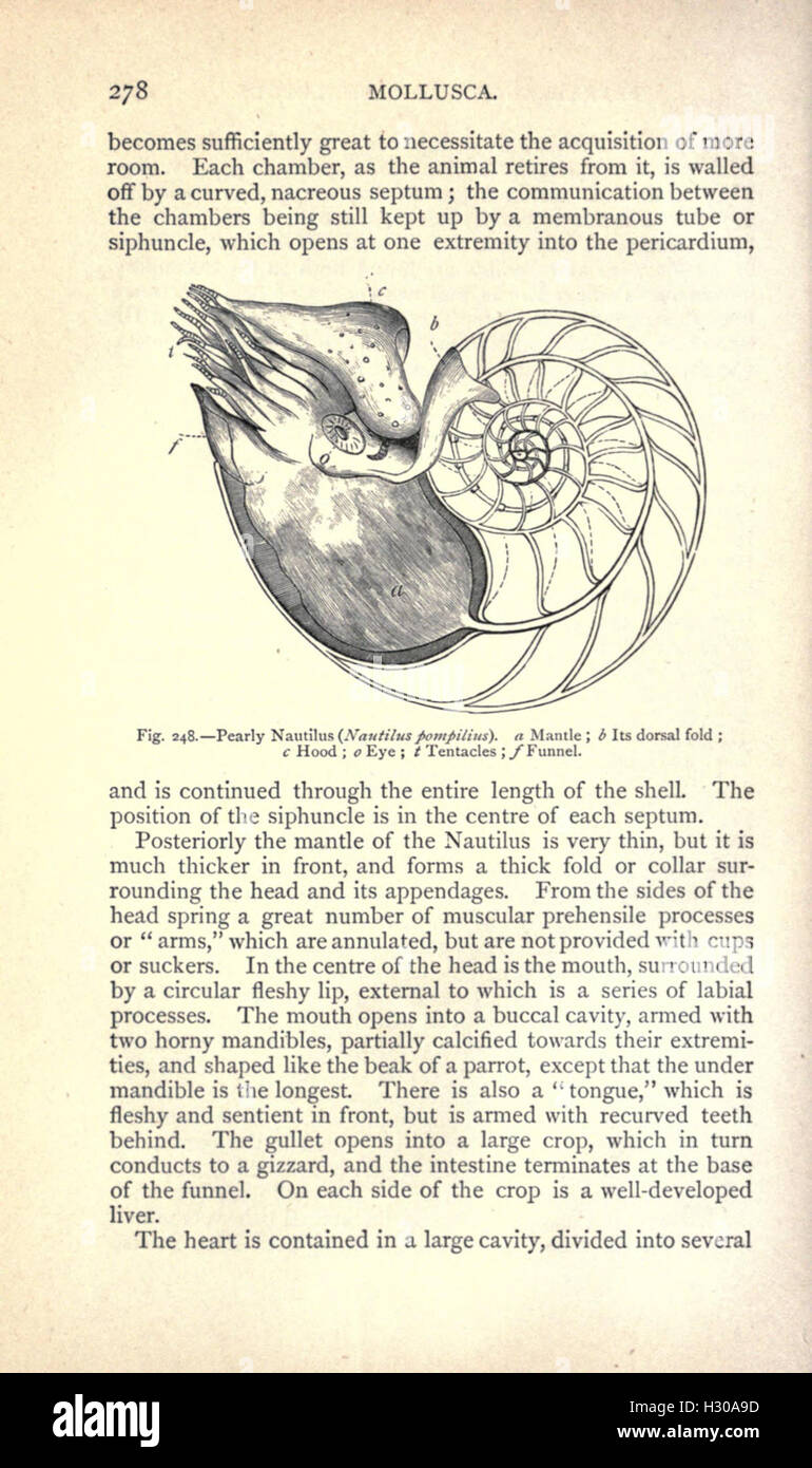 This manual serves as an educational resource for students studying ...