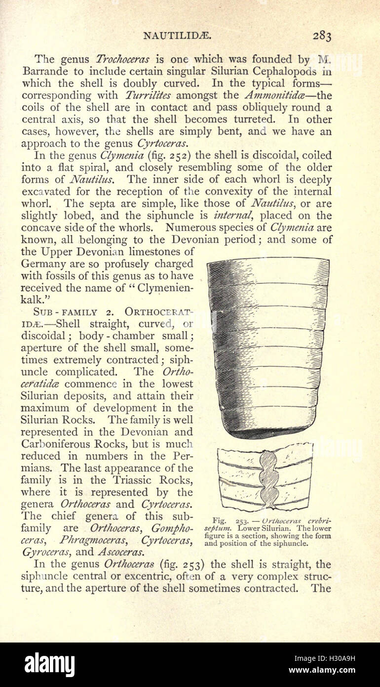 This manual serves as a comprehensive guide to paleontology, offering ...