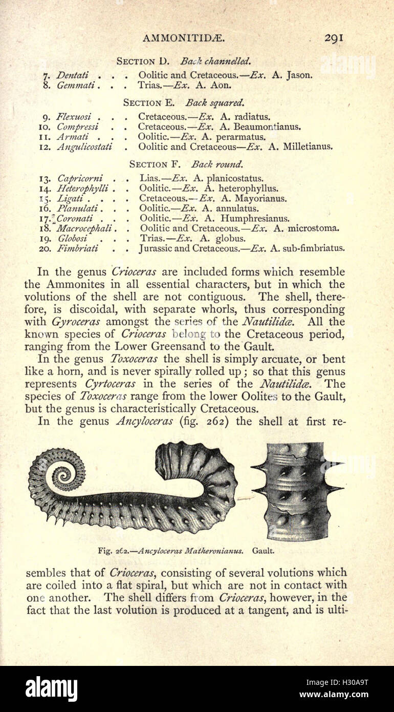 An educational guide on paleontology, detailing fossil records, species ...