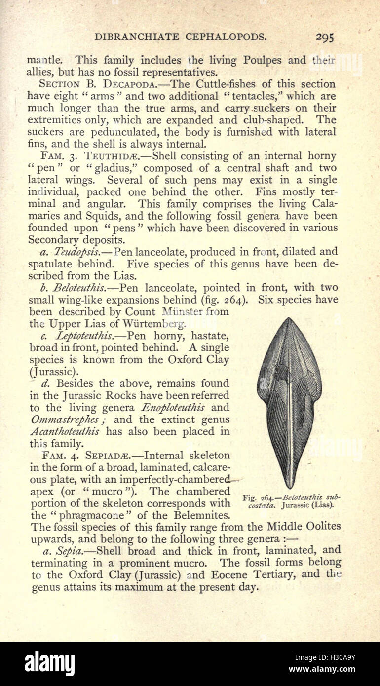 This manual serves as an educational guide to paleontology, offering an ...