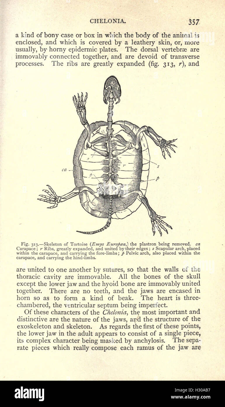 This manual provides an introduction to the principles of paleontology ...