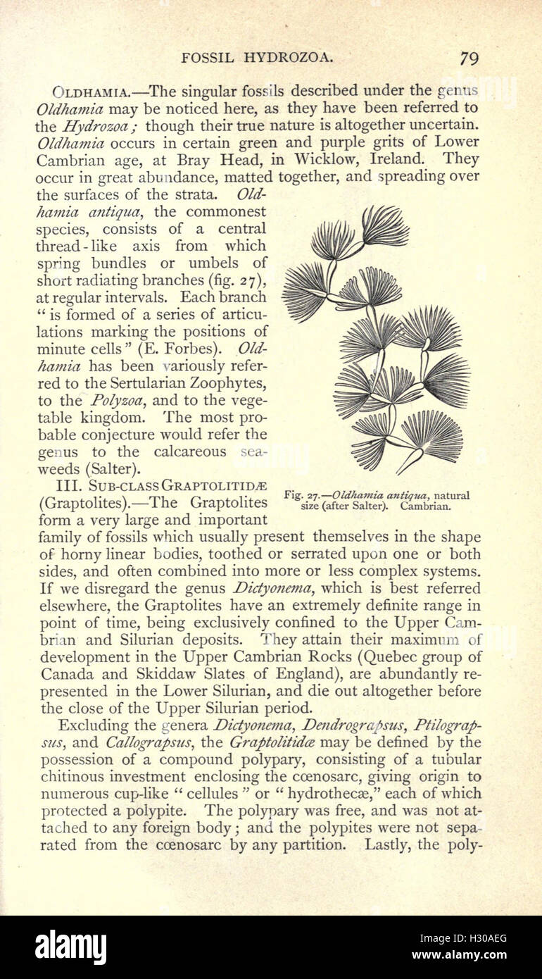 A textbook introducing the principles of paleontology, focusing on ...