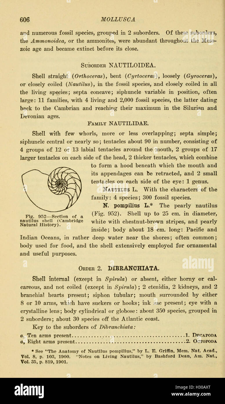 This page from *A Manual of the Common Invertebrate Animals* provides a ...